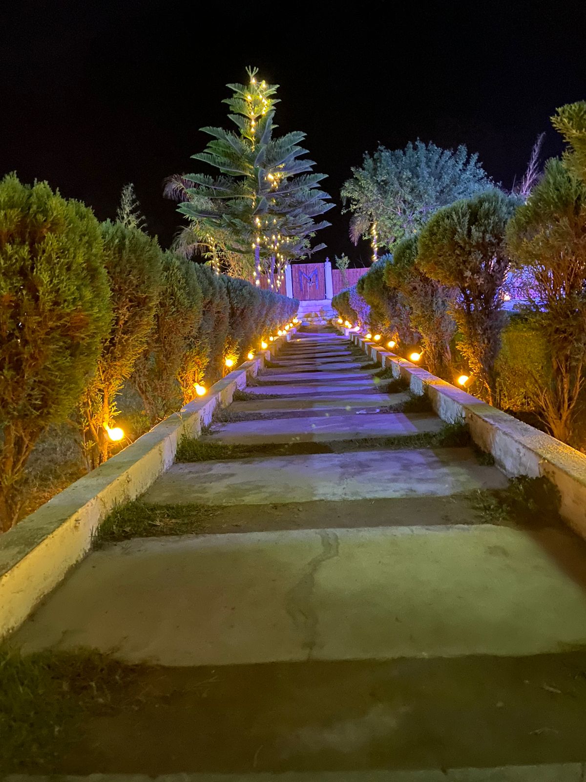 The best resort in Rishikesh with budget friendly | Ambika resort